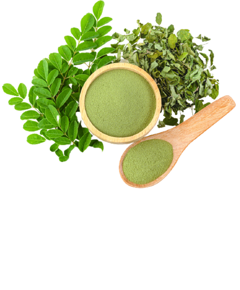 Moringa Powder – Green Living