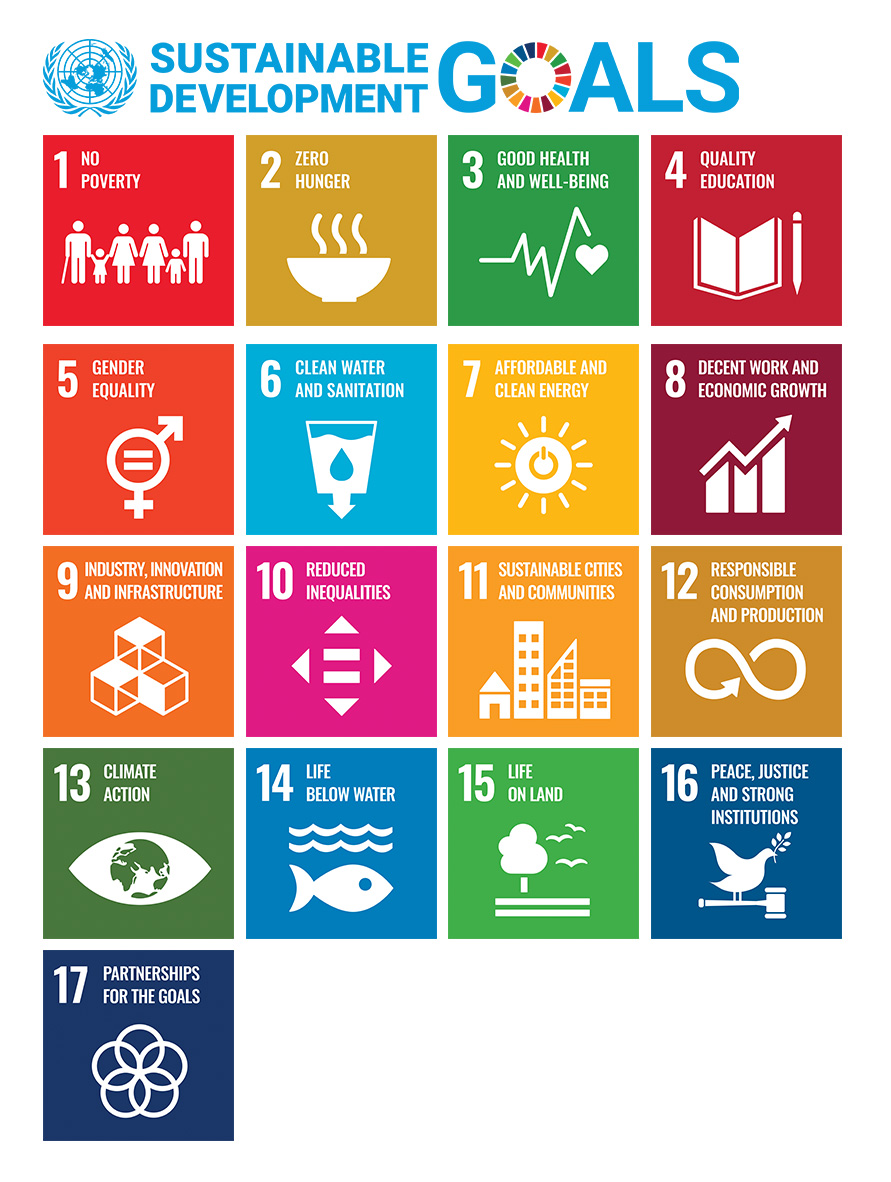 What are the SDGs? – Green Living
